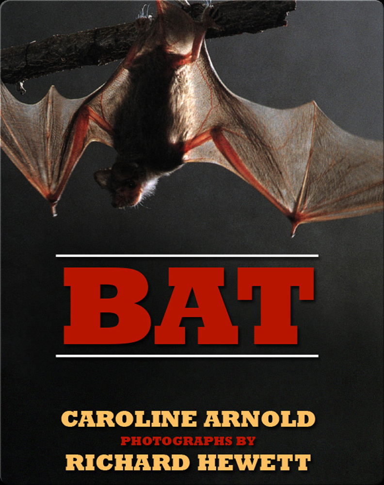 Bat Book by Caroline Arnold | Epic