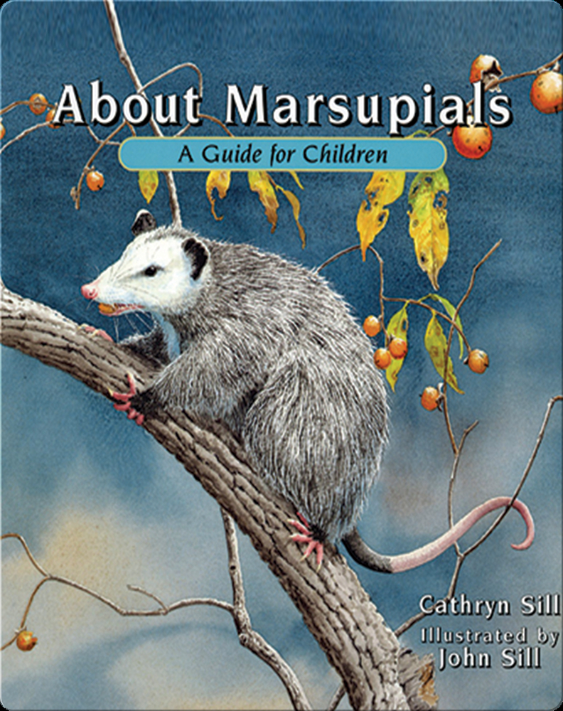 About Marsupials: A Guide for Children Book by Cathryn Sill | Epic