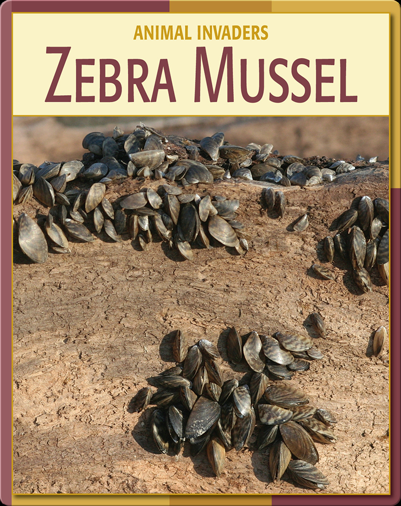 Animal Invaders: Zebra Mussel Book by Susan H. Gray | Epic