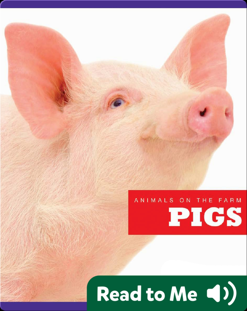 Pigs Book by Wendy Strobel Dieker | Epic