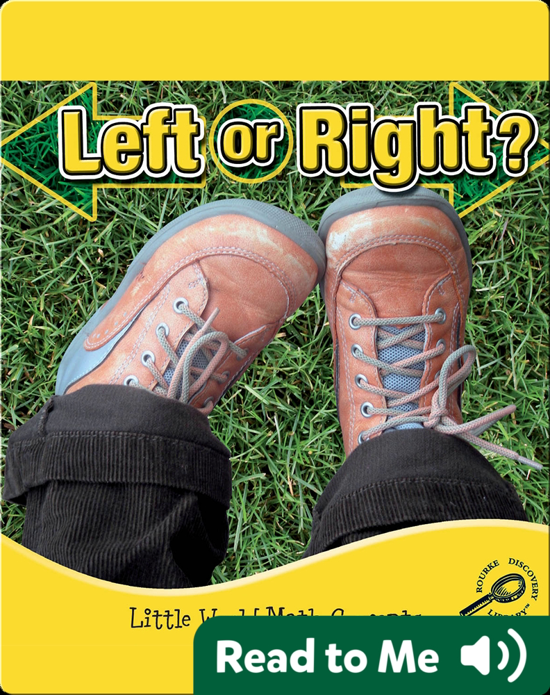 Left or Right? Book by Susan Markowitz Meredith | Epic