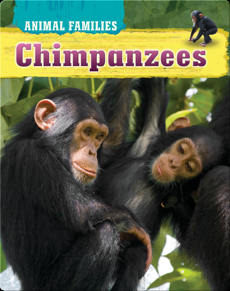 Chimpanzees Book by Black Rabbit Books | Epic