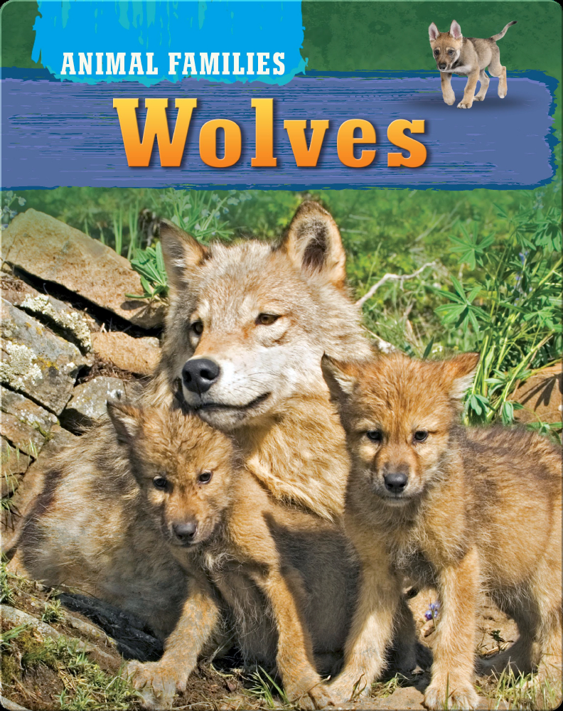 Wolves Book by Black Rabbit Books | Epic