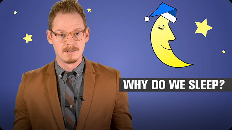 Why Do We Sleep? Video | Discover Fun and Educational Videos That Kids ...