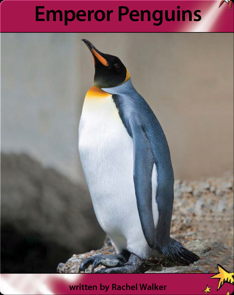 Emperor Penguins Book by Rachel Walker | Epic