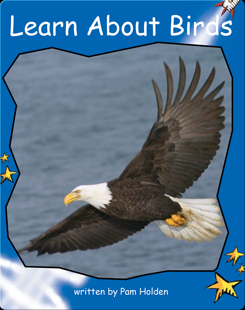 Learn About Birds Book by Pam Holden | Epic