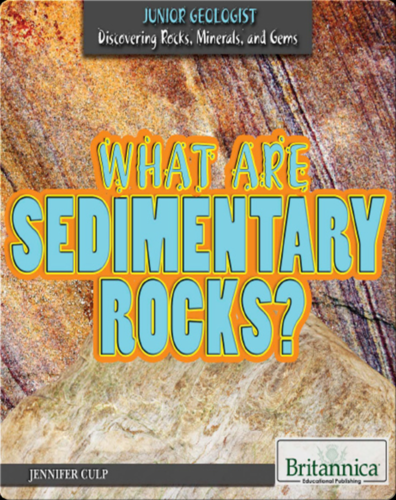 What Are Sedimentary Rocks? Book by Jennifer Culp | Epic