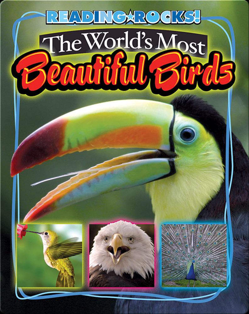 The World's Most Beautiful Birds Book by Annie Buckley | Epic