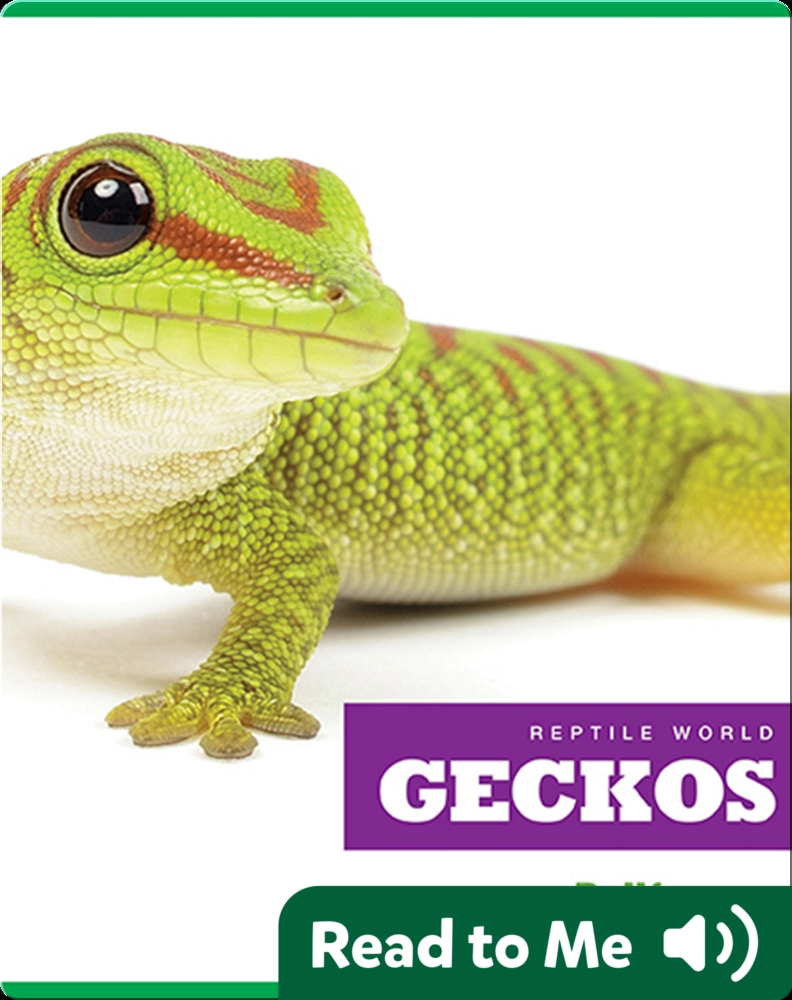 Reptile World: Geckos Book by Cari Meister, Vanessa Black | Epic