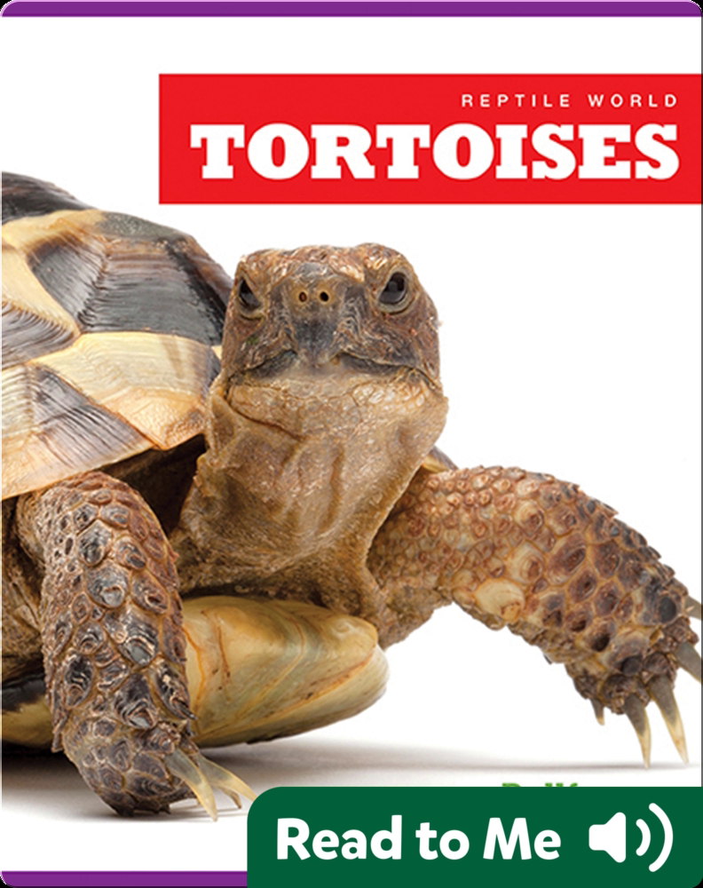 Reptile World: Tortoises Book by Cari Meister, Vanessa Black | Epic