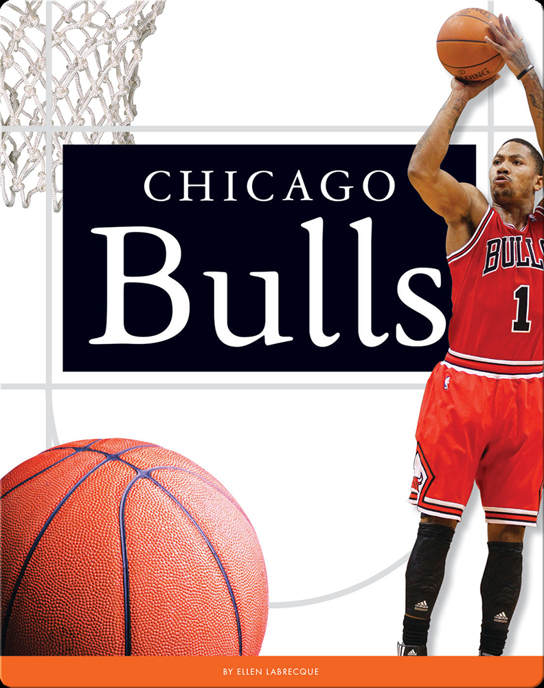 Chicago Bulls Book by Ellen Labrecque | Epic
