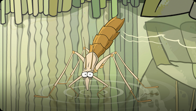 I'm a Water Strider Video | Discover Fun and Educational Videos That ...