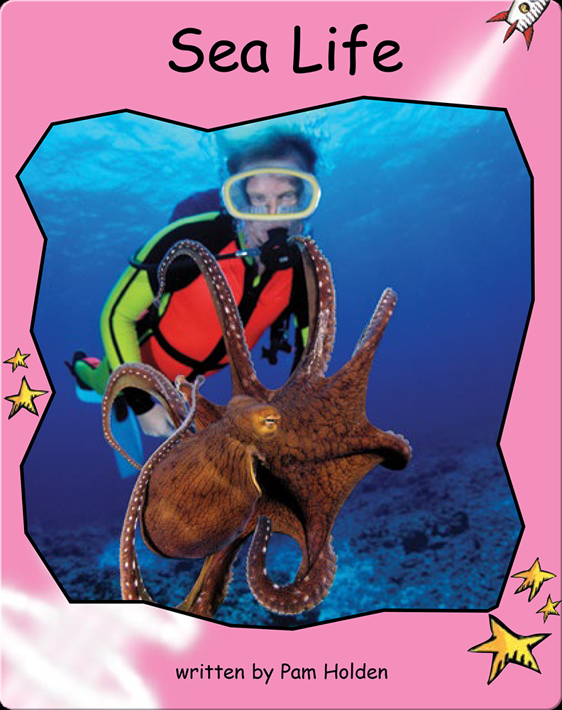Sea Life Book by Pam Holden | Epic