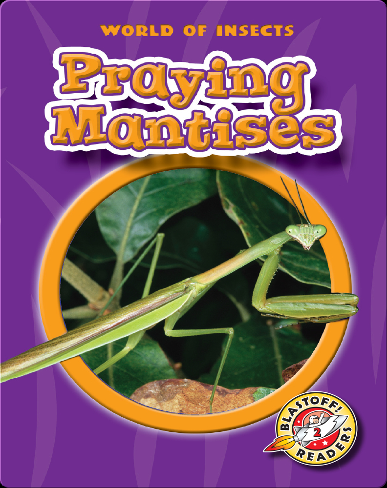 World of Insects: Praying Mantises Book by Colleen Sexton | Epic