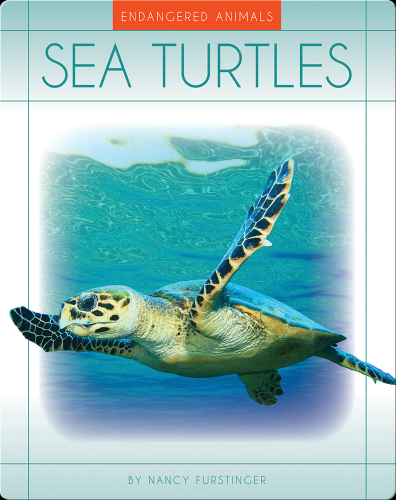 Sea Turtles Book by Nancy Furstinger | Epic