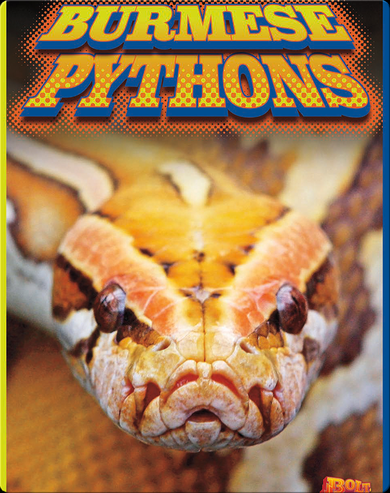 Burmese Pythons Book by Barbara Ciletti | Epic