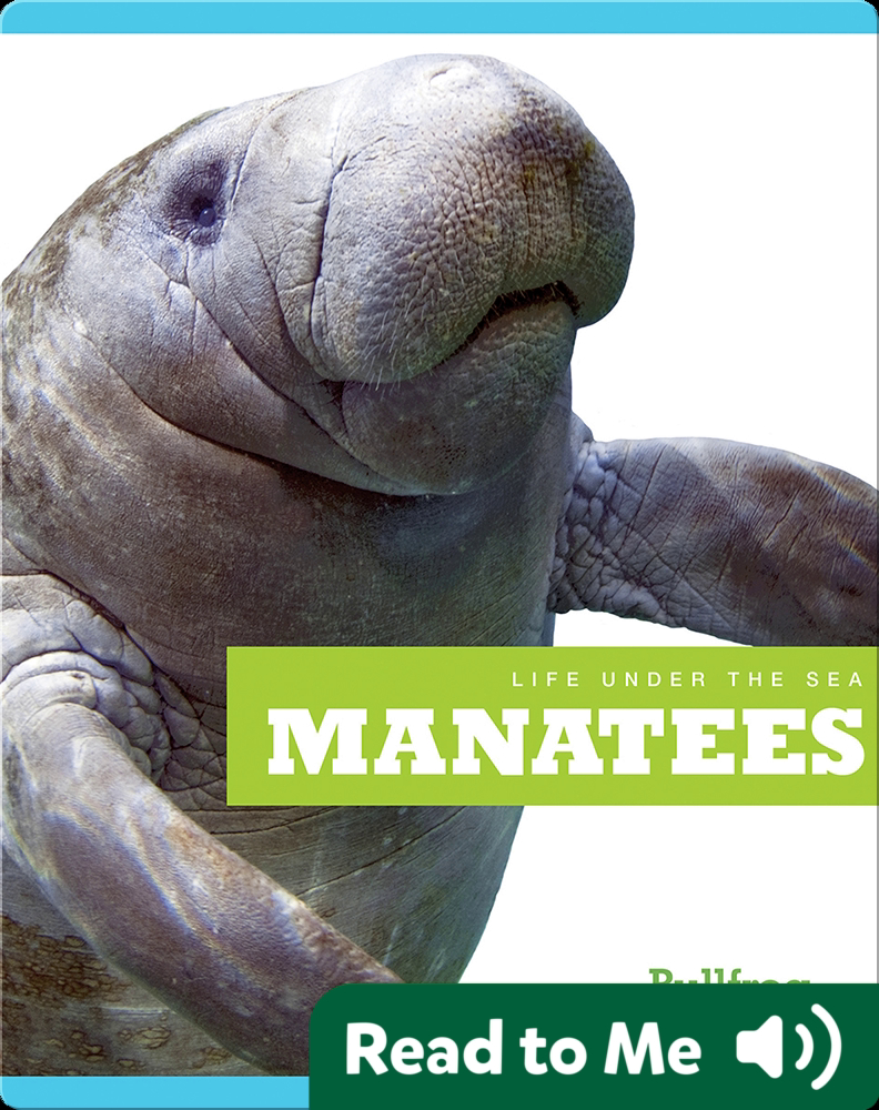 Life Under The Sea: Manatees Book by Mari Schuh | Epic
