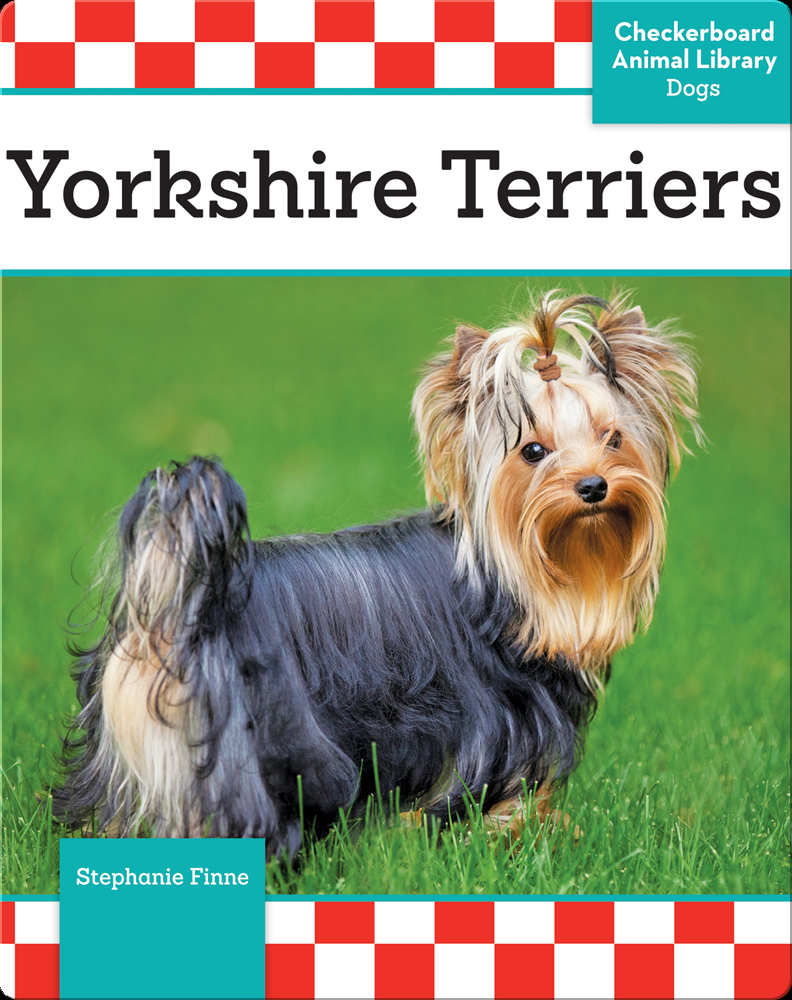 Yorkshire Terriers Book by Stephanie Finne | Epic