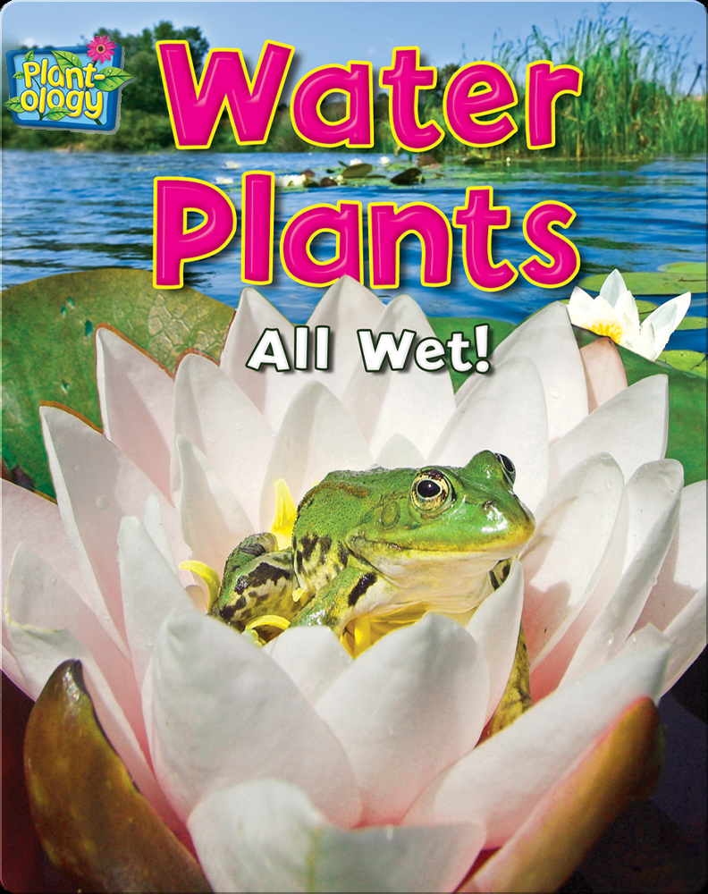 Water Plants: All Wet! Book by Ellen Lawrence | Epic