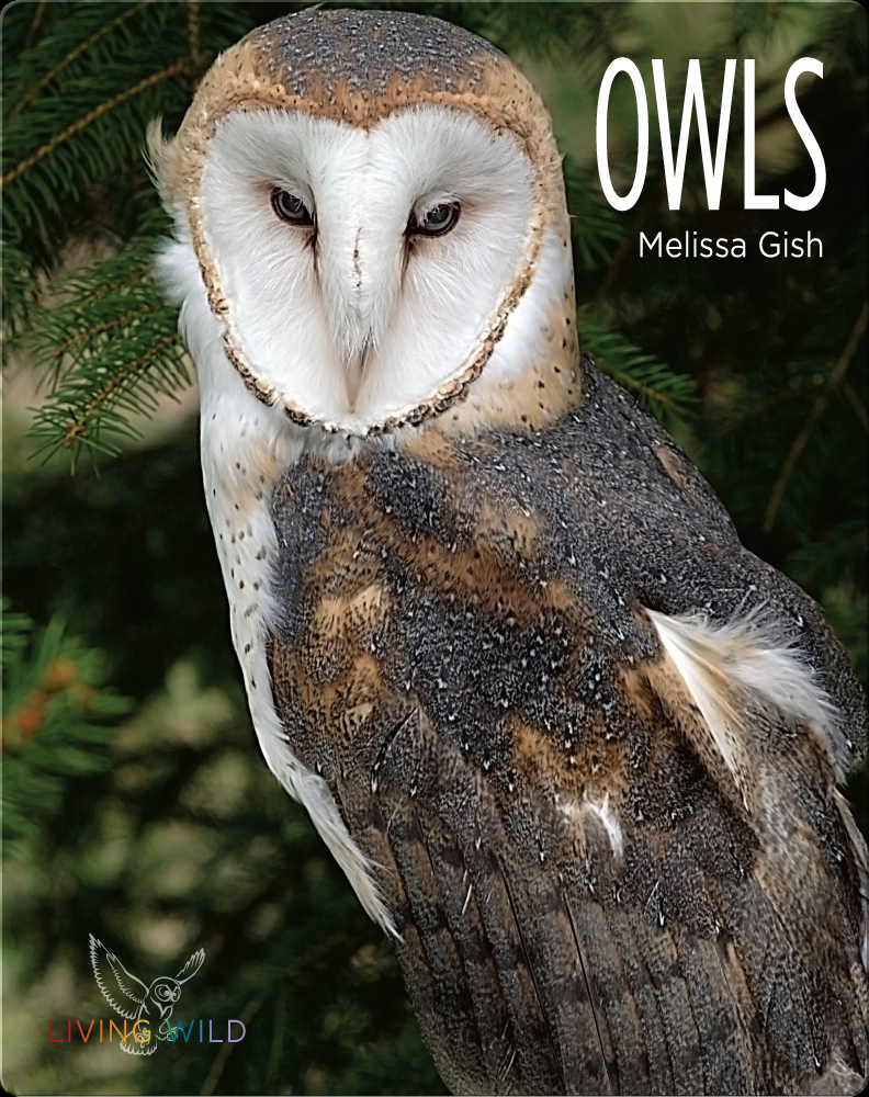 Owls Book by Melissa Gish | Epic