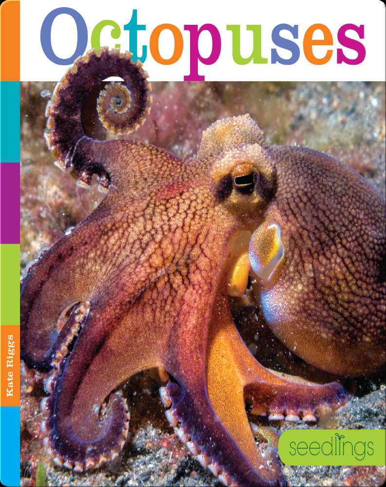 Octopuses Book by Kate Riggs | Epic