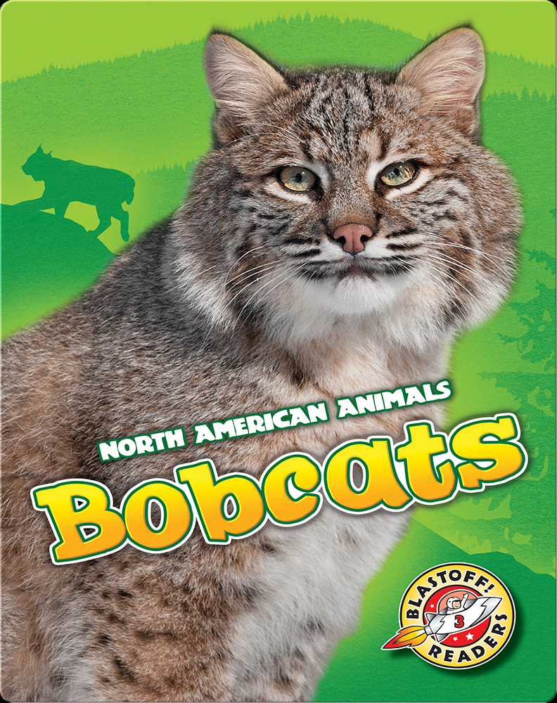 Cool Cats: Bobcats Book by Betsy Rathburn | Epic