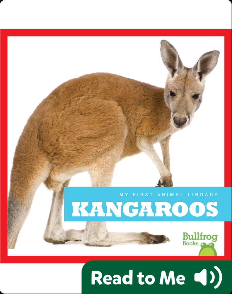 My First Animal Library: Kangaroos Book by Mari Schuh | Epic