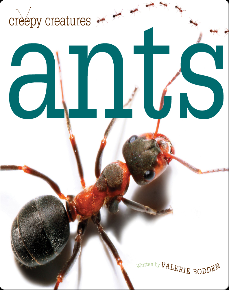 Ants Book by Valerie Bodden | Epic