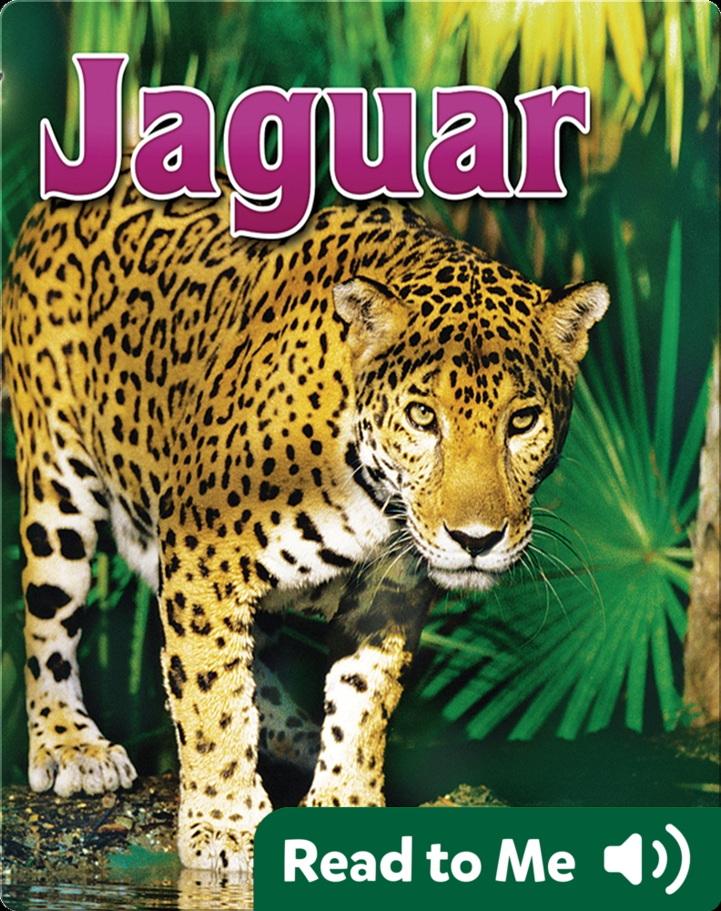 Jaguar Book by Ellen Lawrence | Epic