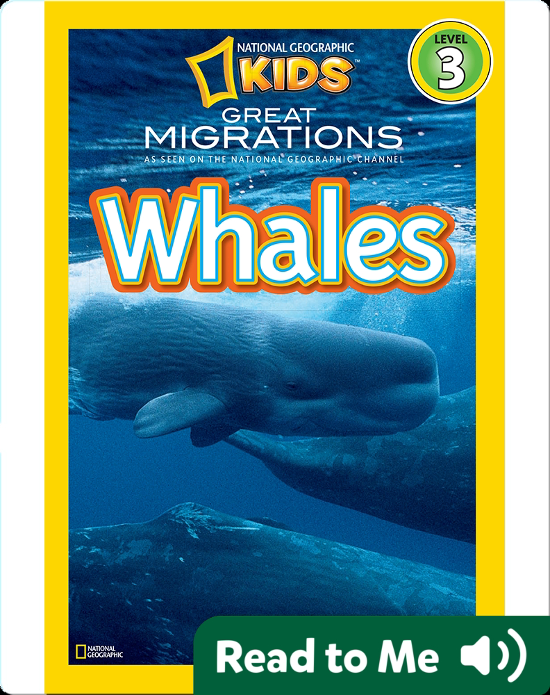 National Geographic Readers: Great Migrations Whales Book by Laura ...