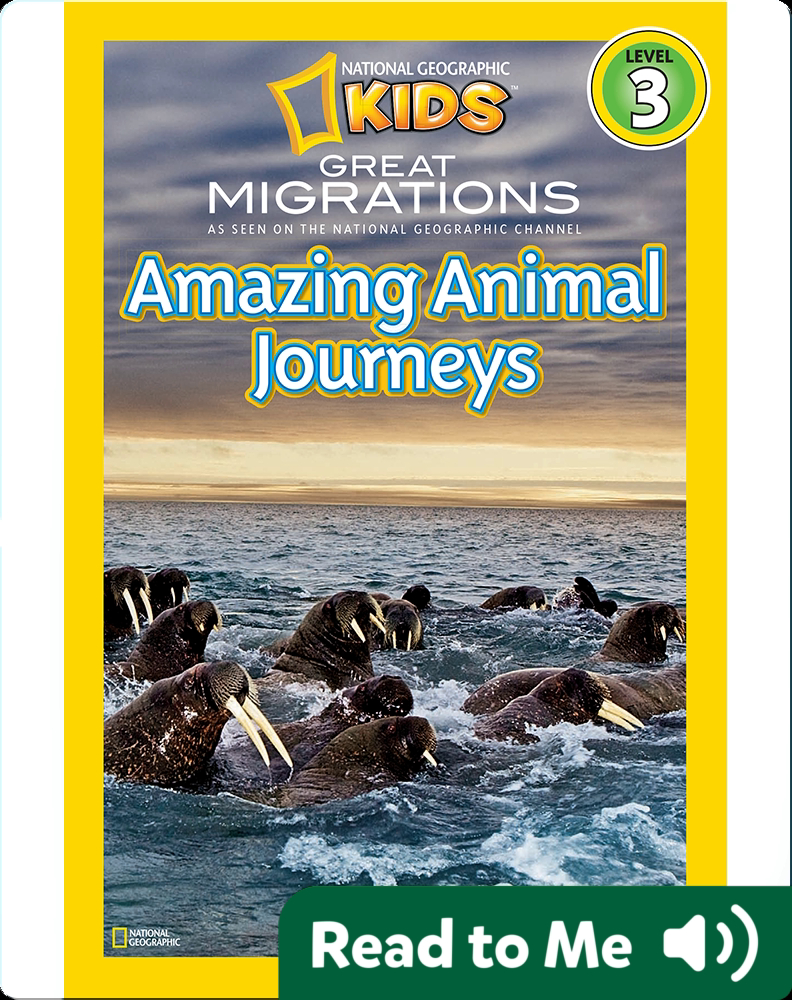 National Geographic Readers: Great Migrations Amazing Animal Journeys ...