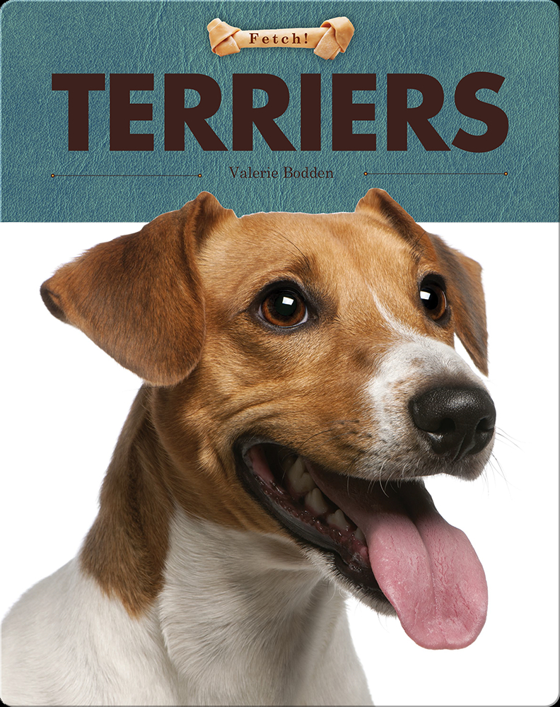 Terriers Book by Valerie Bodden | Epic