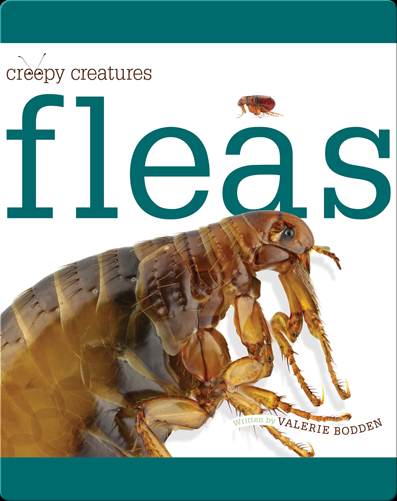 Fleas Book by Valerie Bodden | Epic