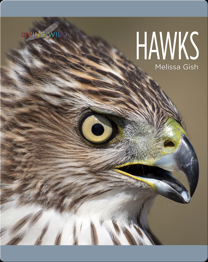 Hawks Book by Melissa Gish | Epic