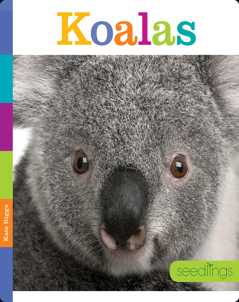 Koalas Book by Kate Riggs | Epic