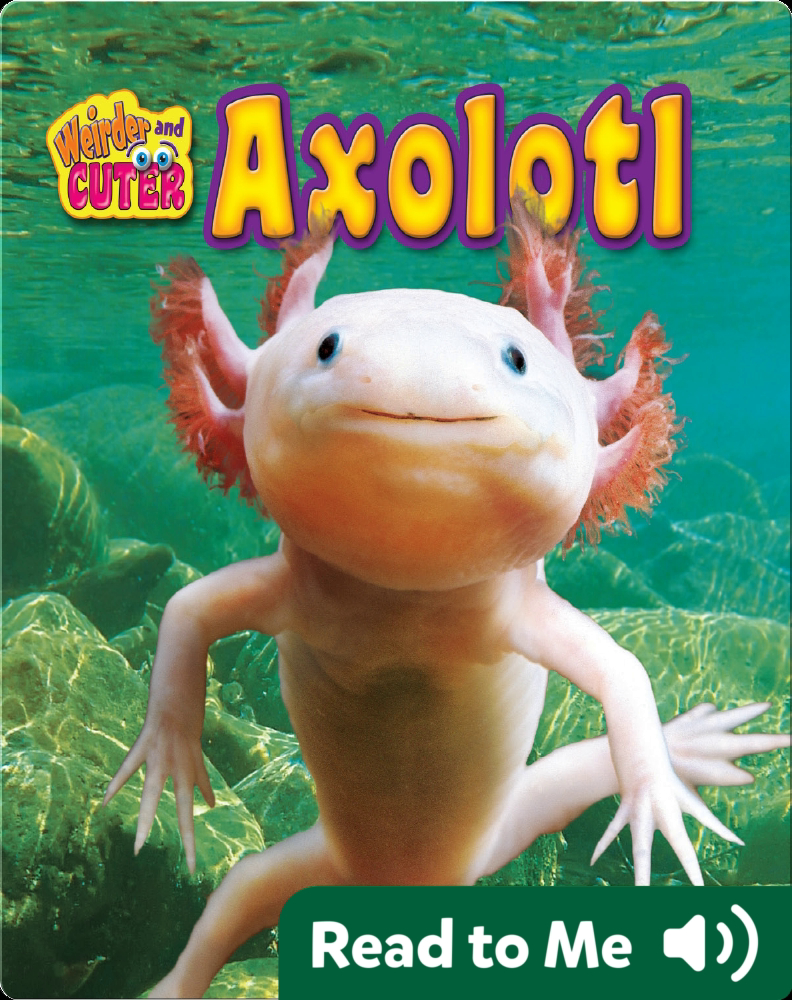 Axolotl Book by Dawn Bluemel Oldfield | Epic