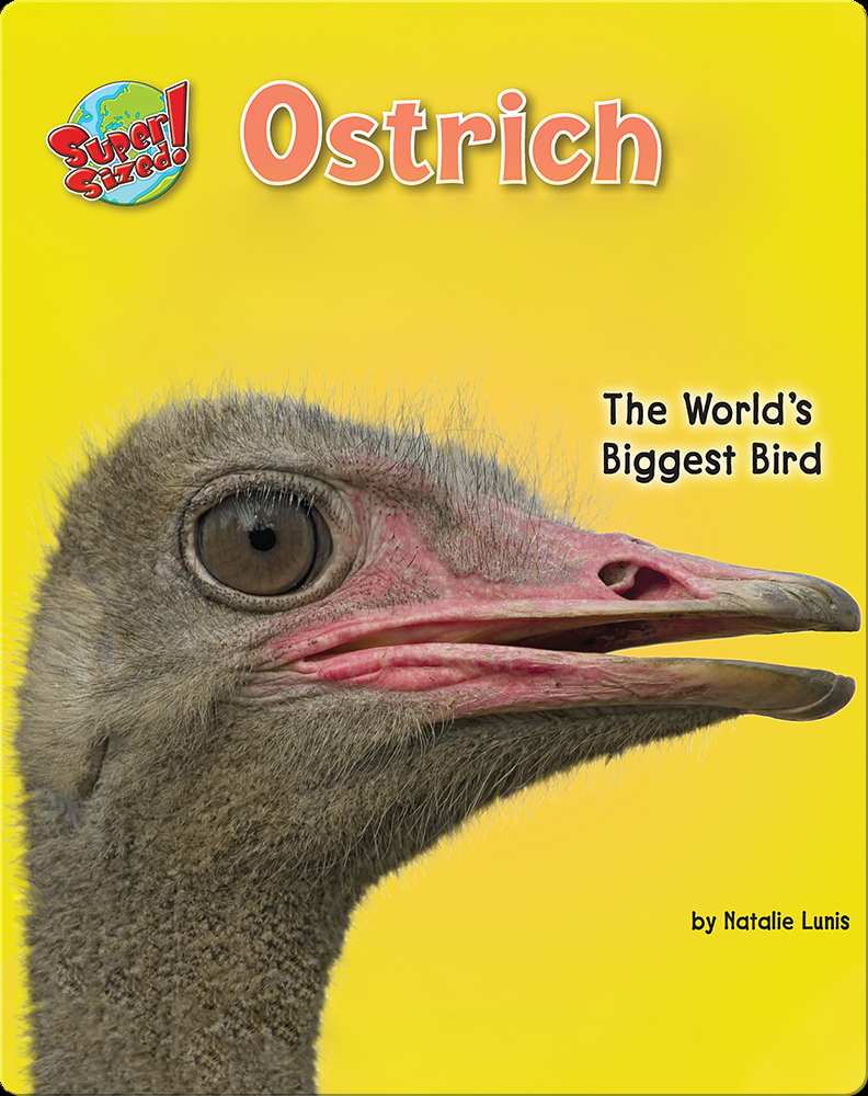 Ostrich: The World's Biggest Bird Book by Natalie Lunis | Epic