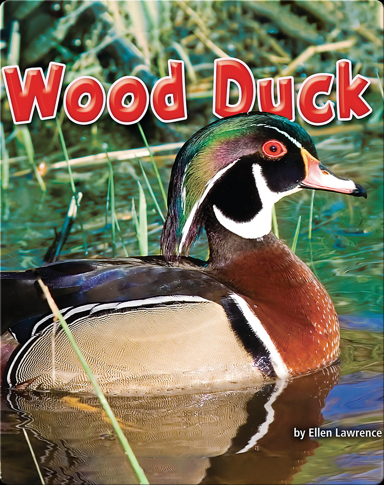 Wood Duck Book by Ellen Lawrence | Epic