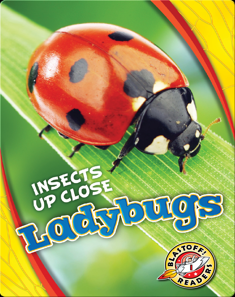 Ladybugs Book by Christina Leaf | Epic