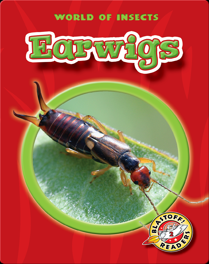 World of Insects: Earwigs Book by Colleen Sexton | Epic
