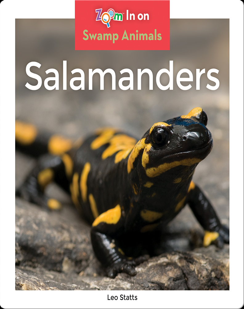Salamanders Book by Leo Statts | Epic