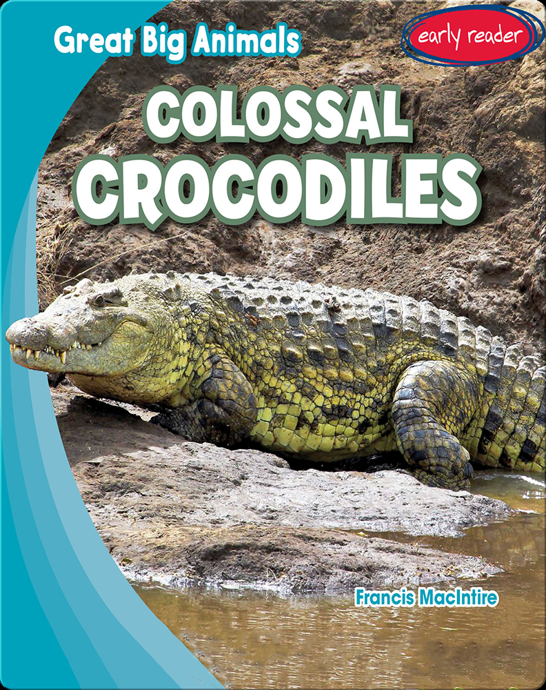 Colossal Crocodiles Book by Francis MacIntire | Epic