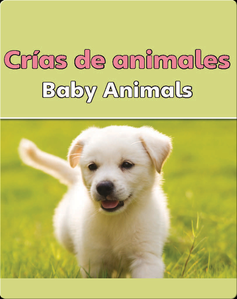 Crias De Animales (Baby Animals) Book by Rourke Educational Media | Epic