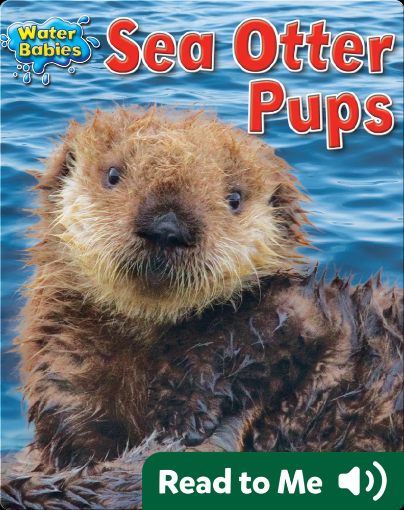 Sea Otter Pups Book by Ruth Owen | Epic