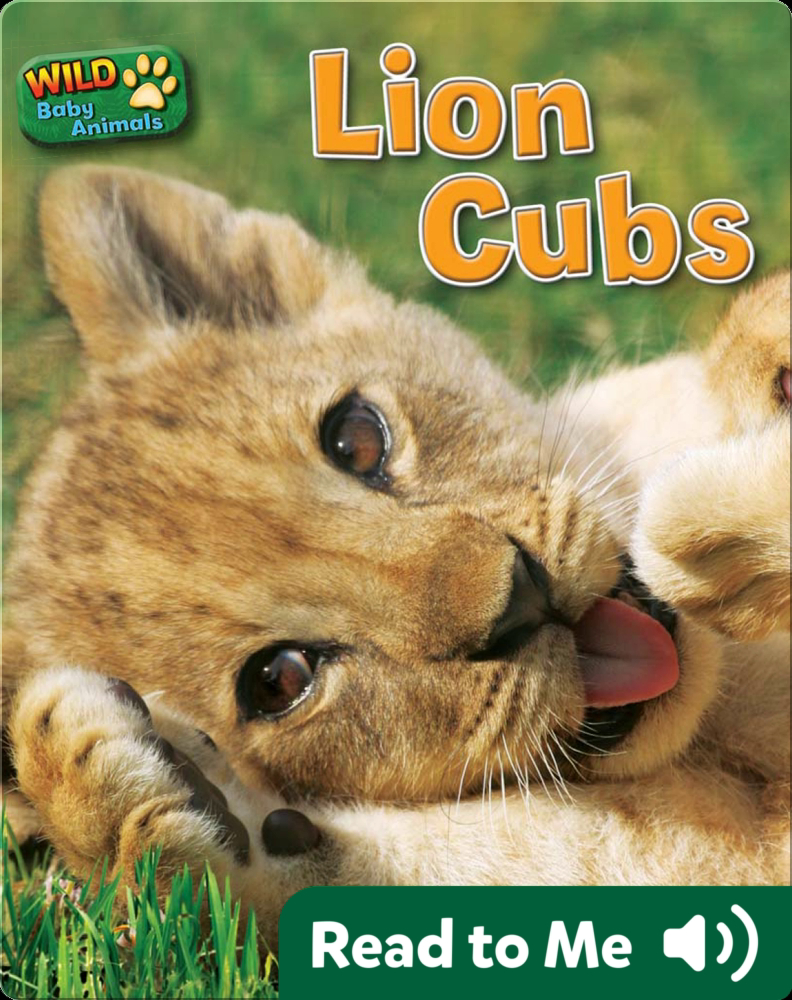 Lion Cubs Book by Ruth Owen | Epic