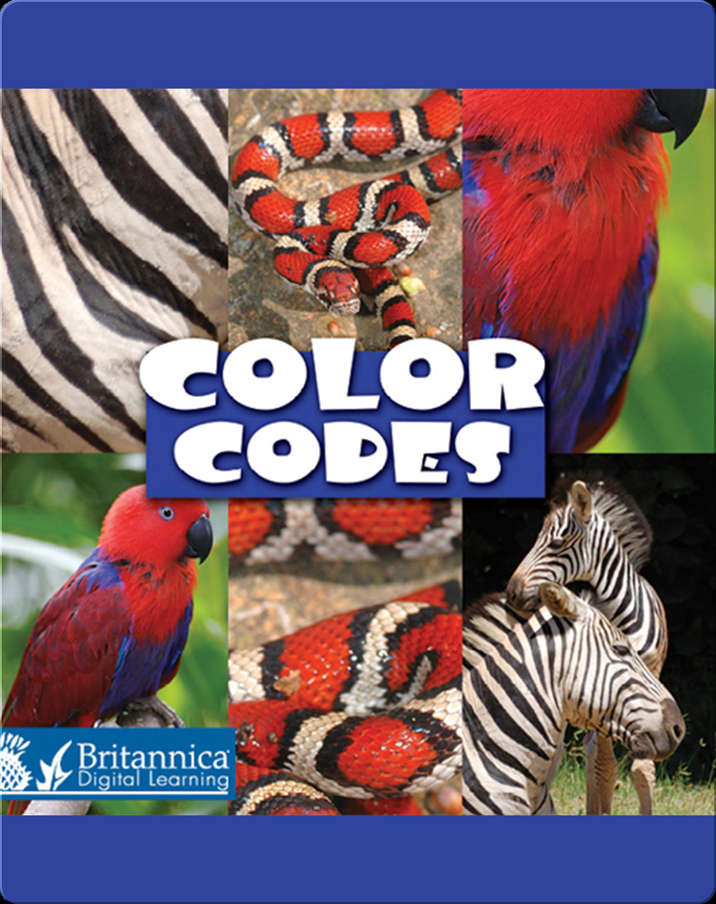 Color Codes Book by Lynn Stone | Epic