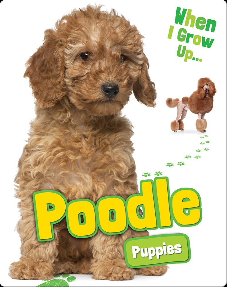 Poodle Puppies Book by Emmie Chang | Epic