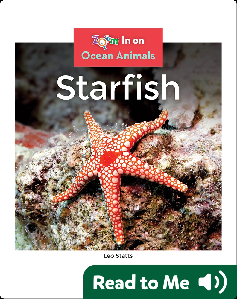 Starfish Book by Leo Statts | Epic