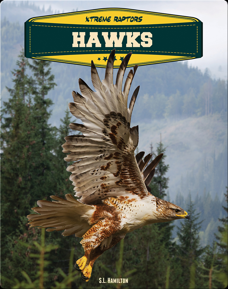 Hawks Book by S.L. Hamilton | Epic