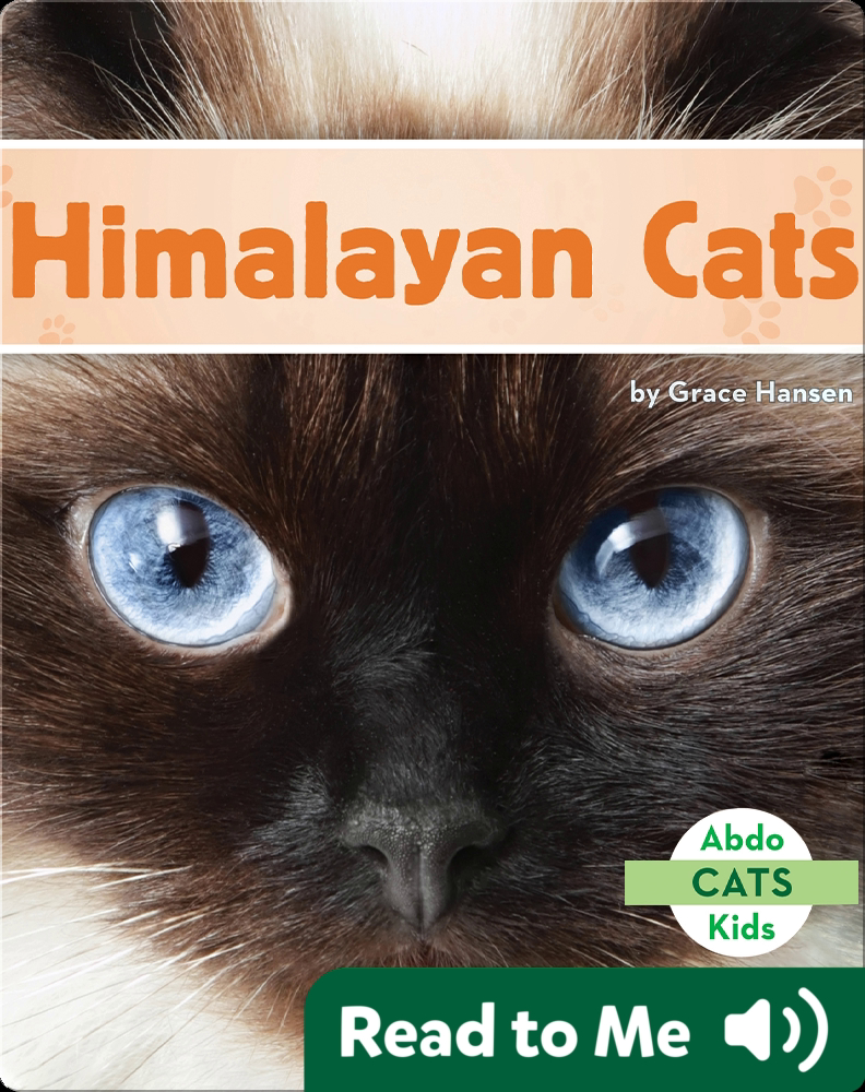 Himalayan Cats Book by Grace Hansen | Epic